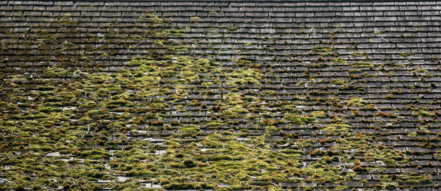 Is It Time to Re-roof? | Rainshield Roofing