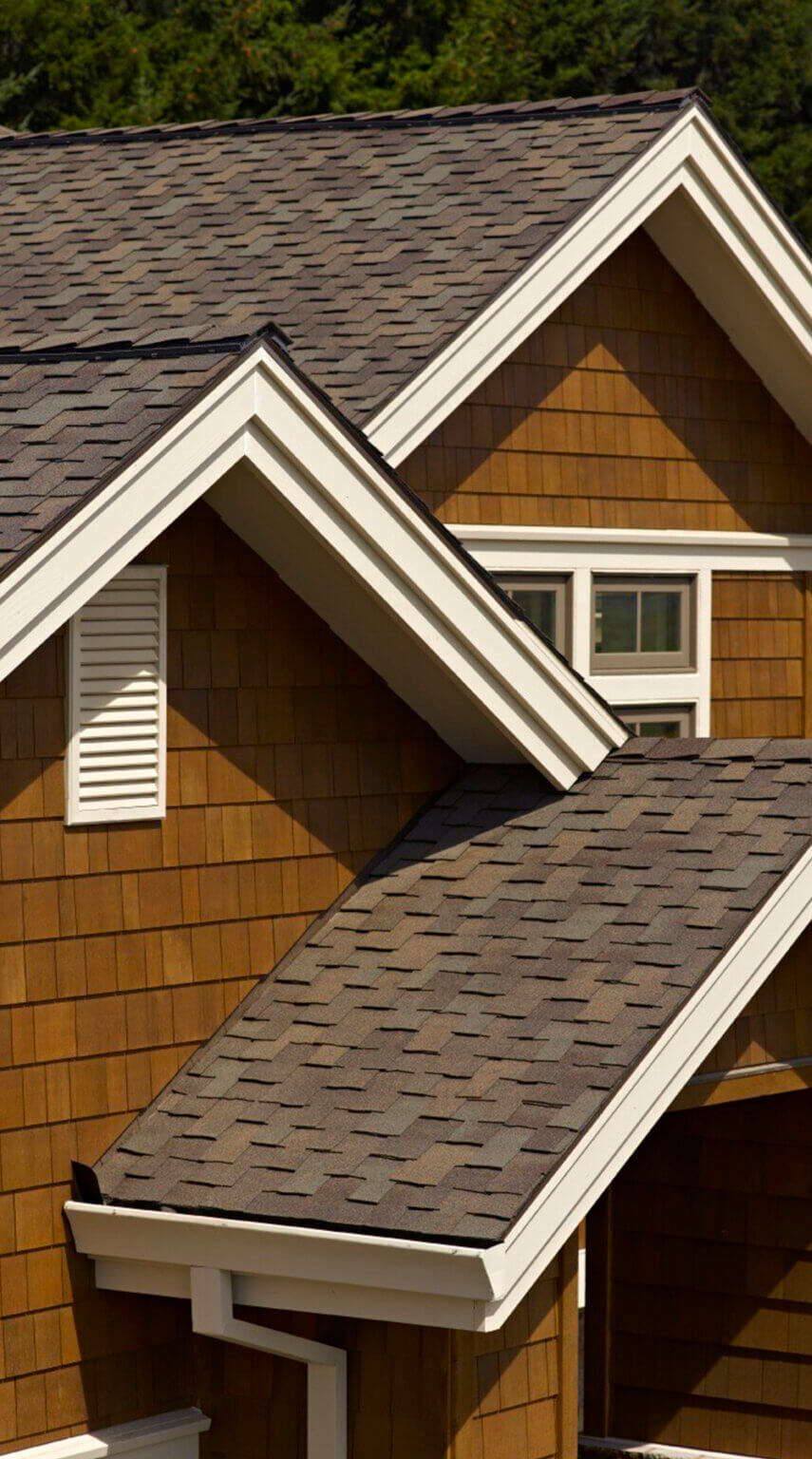 Trusted Roofing Company in Bellingham, WA